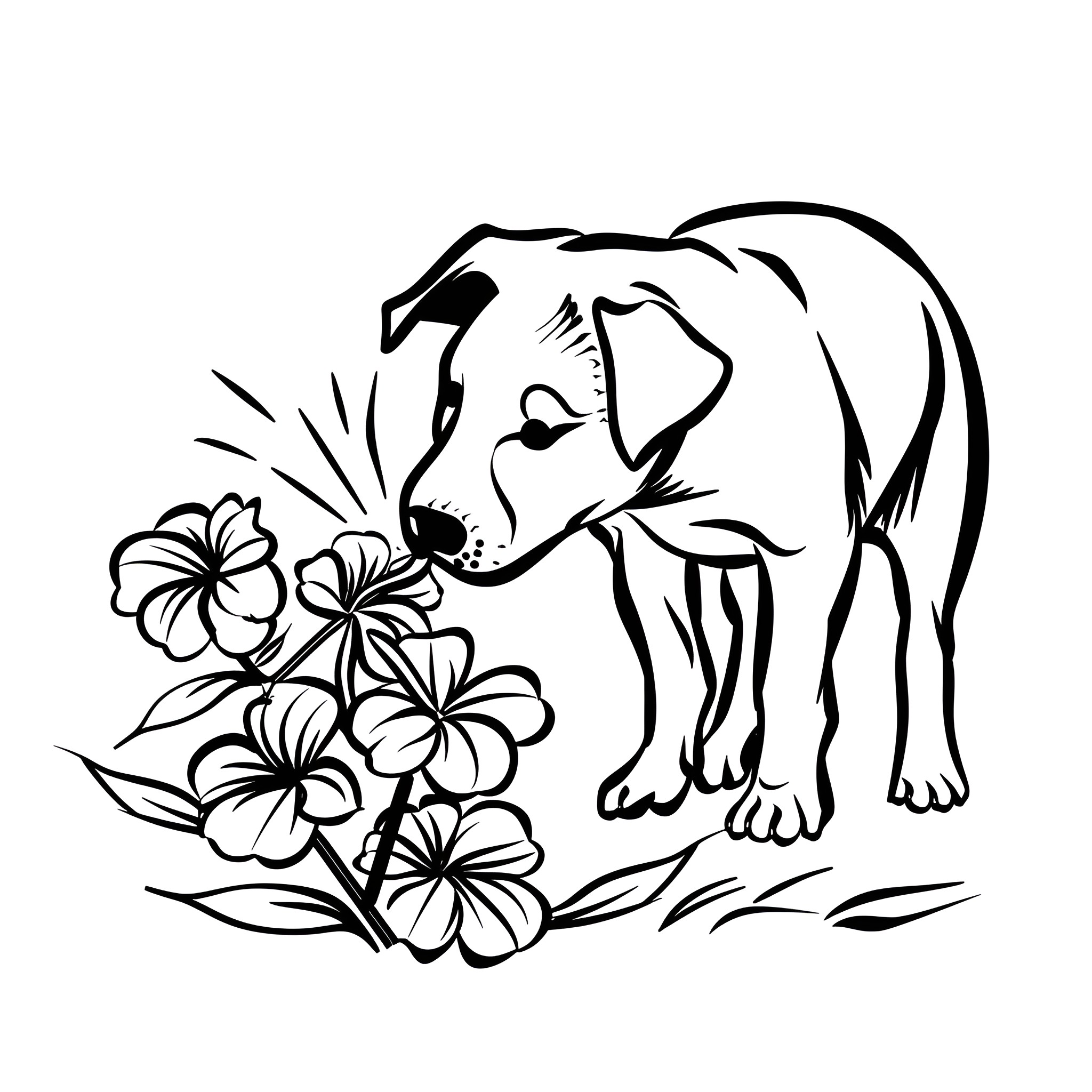 49 Best Easy Dog Drawing Ideas Drawing Ideas (Free Printable PDFs)