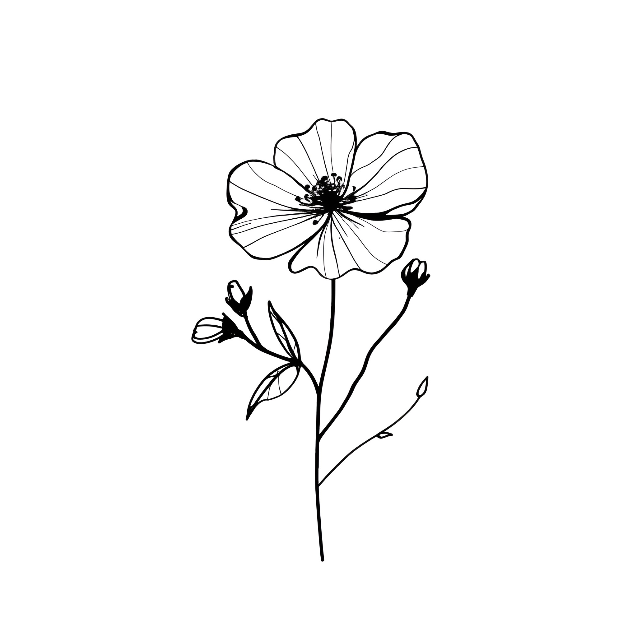 48 Best Easy Unique Drawing Ideas Drawing Ideas (Free Printable PDFs)