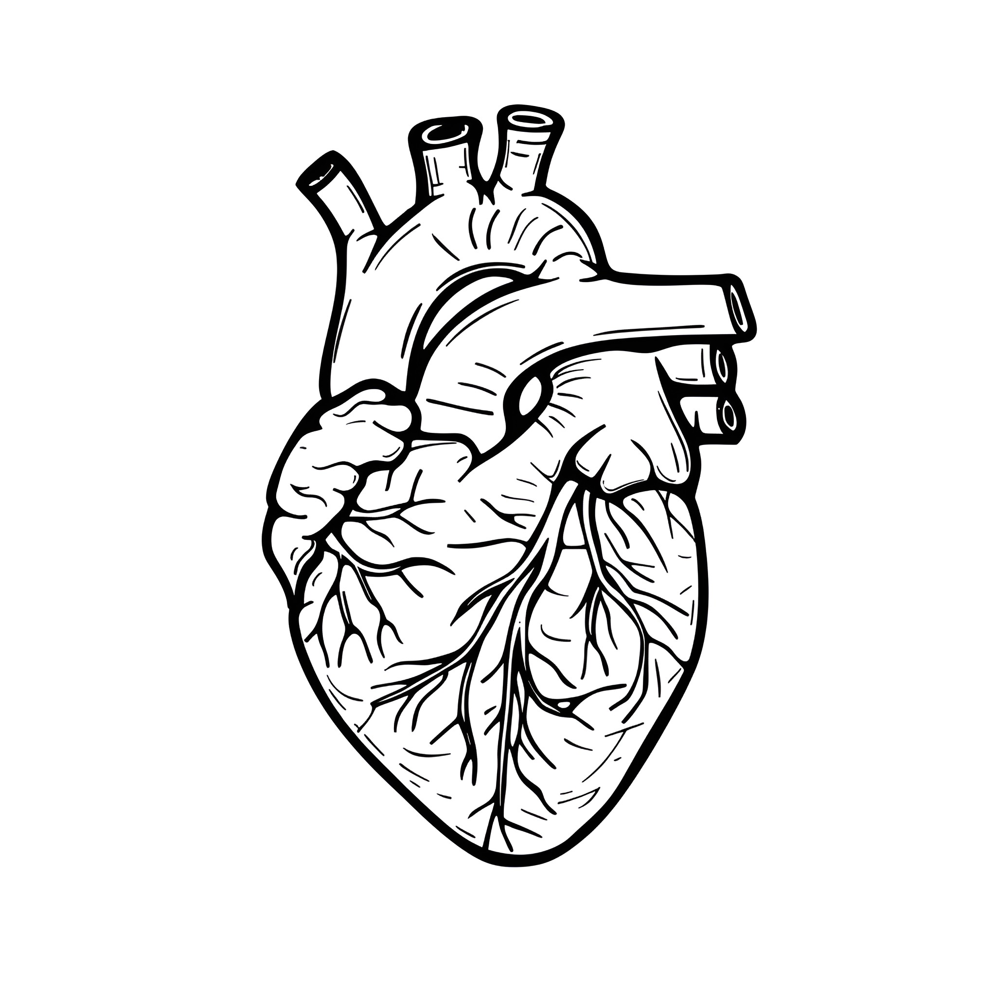 48 Best Easy Heart Drawing Ideas Drawing Ideas (Free Printable PDFs)