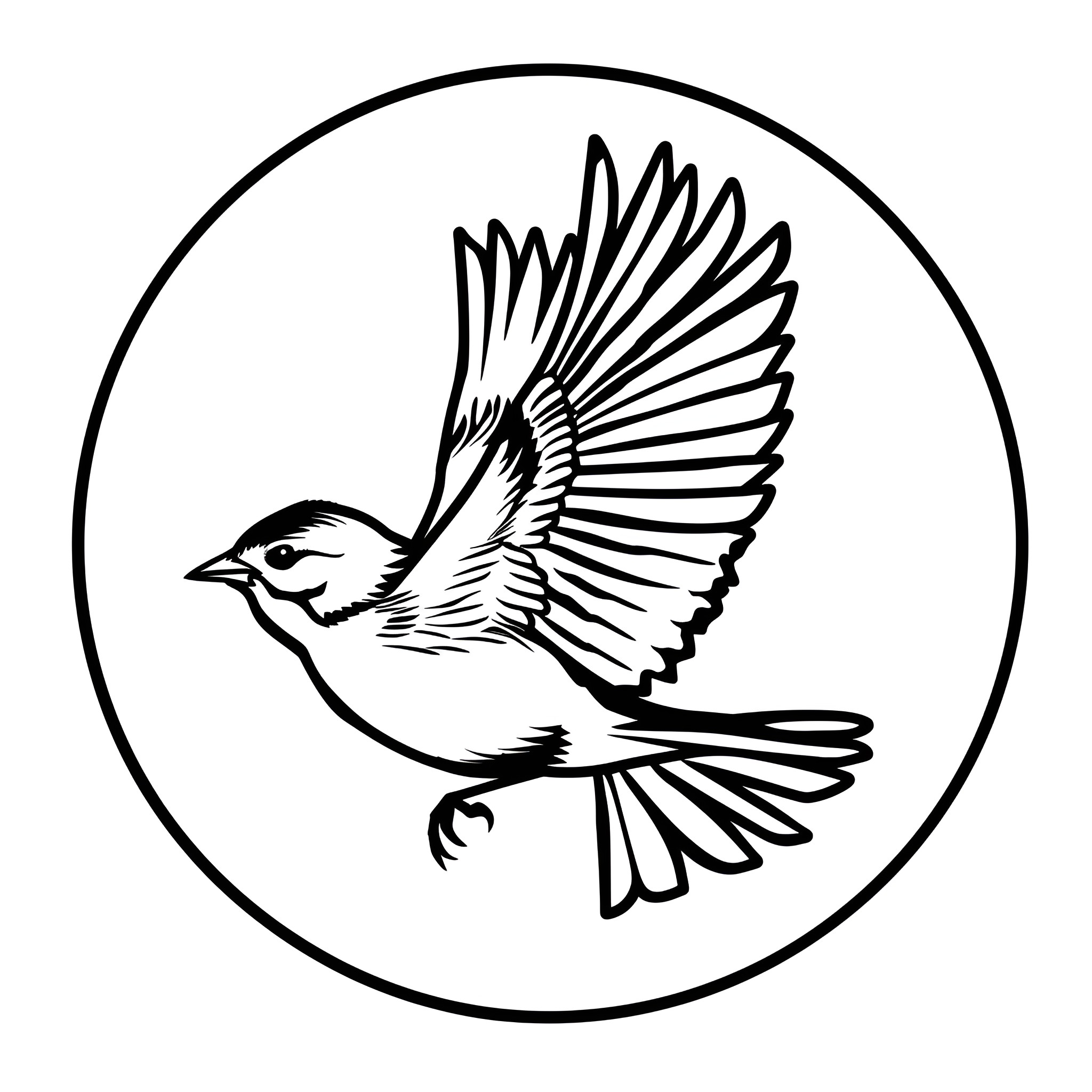 25 Best Easy Circle Drawing Ideas Drawing Ideas (Free Printable PDFs)