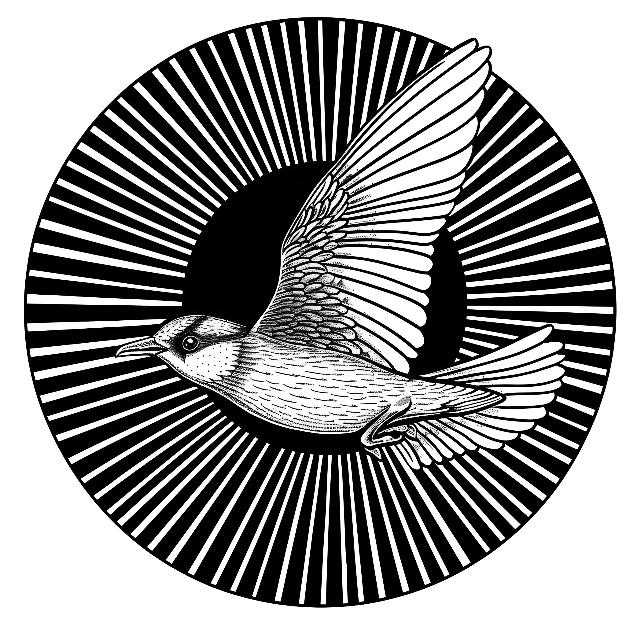 25 Best Easy Circle Drawing Ideas Drawing Ideas (Free Printable PDFs)